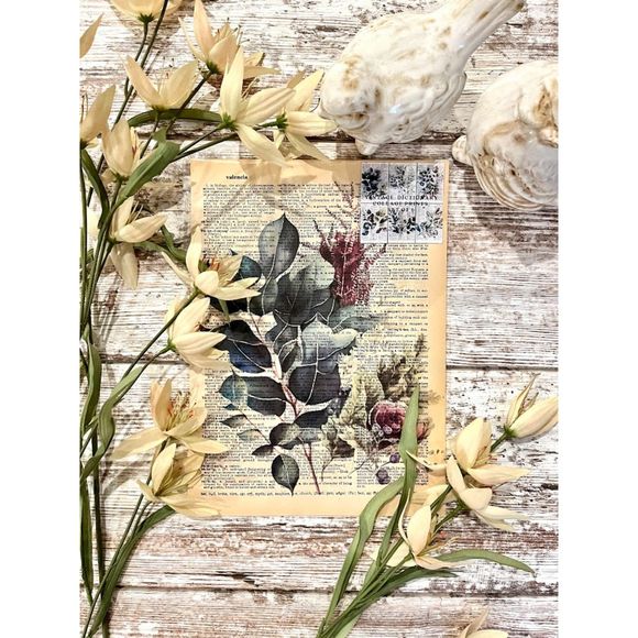 Art | Botany Botanical Vintage Dictionary Wall Collage Picture Prints ...